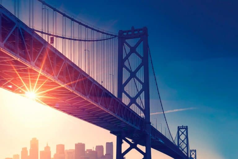 The Bridge Program | Directors of the Extraordinary